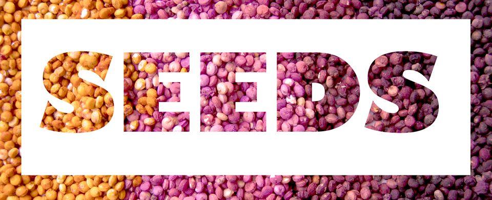 SEEDS Literary and Visual Arts Journal | NEIU